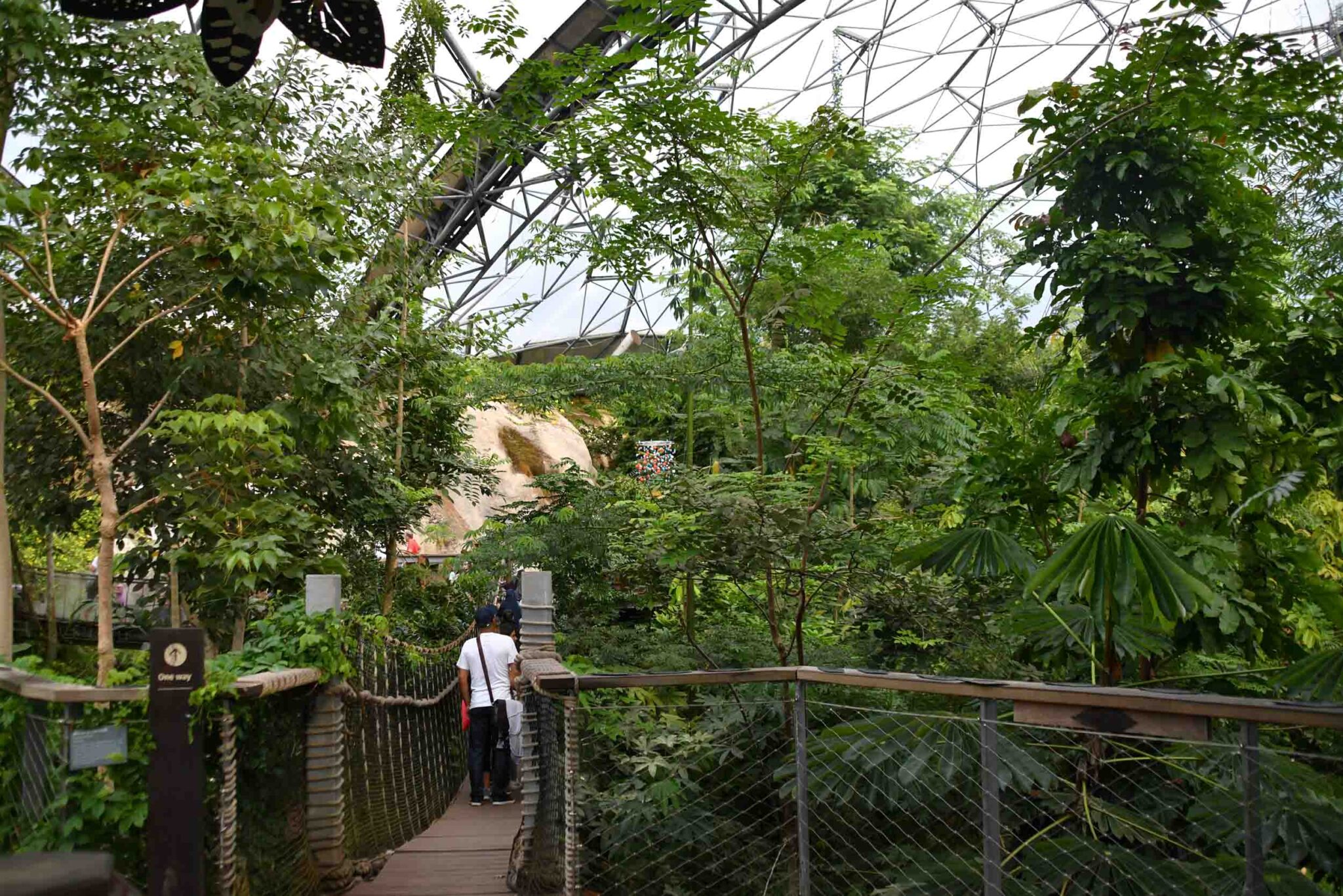 A Perfect Day Trip to The Eden Project in Cornwall - Let's Go To ...